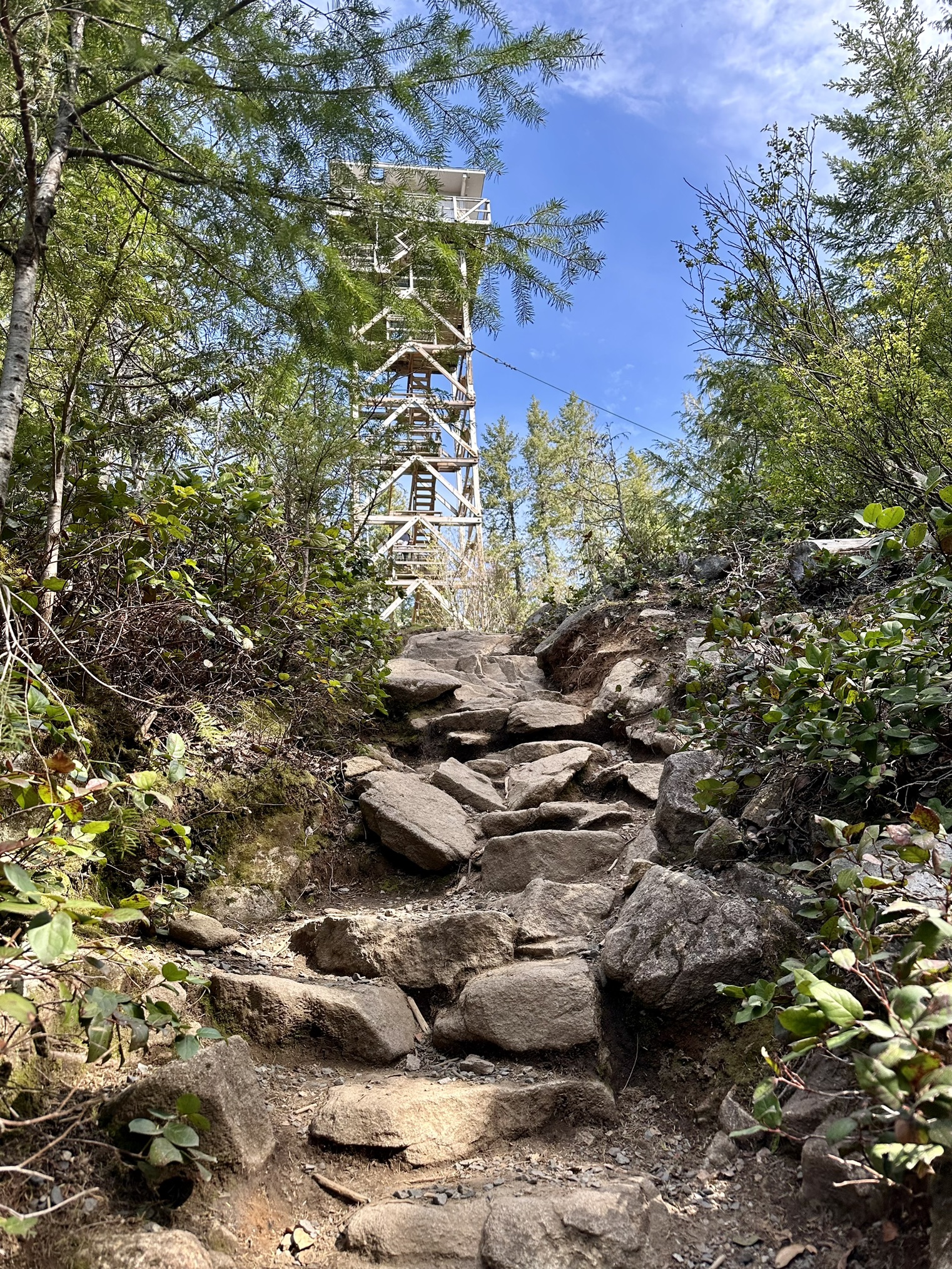 Heybrook Lookout, Heybrook Ridge — Washington Trails Association