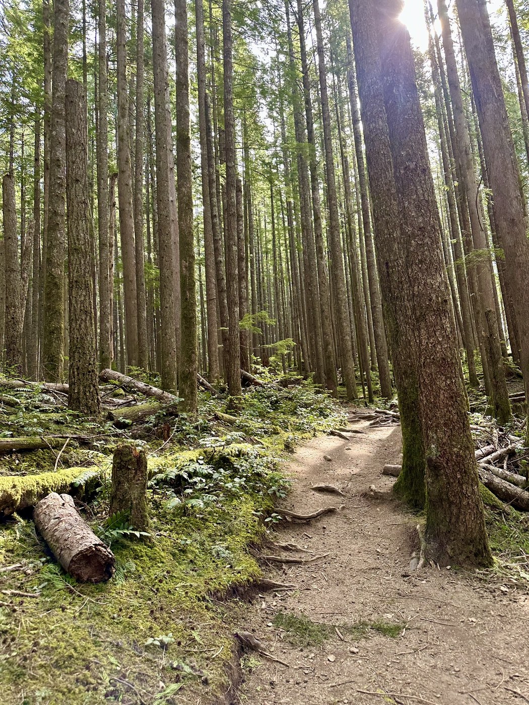 Heybrook Lookout, Heybrook Ridge — Washington Trails Association