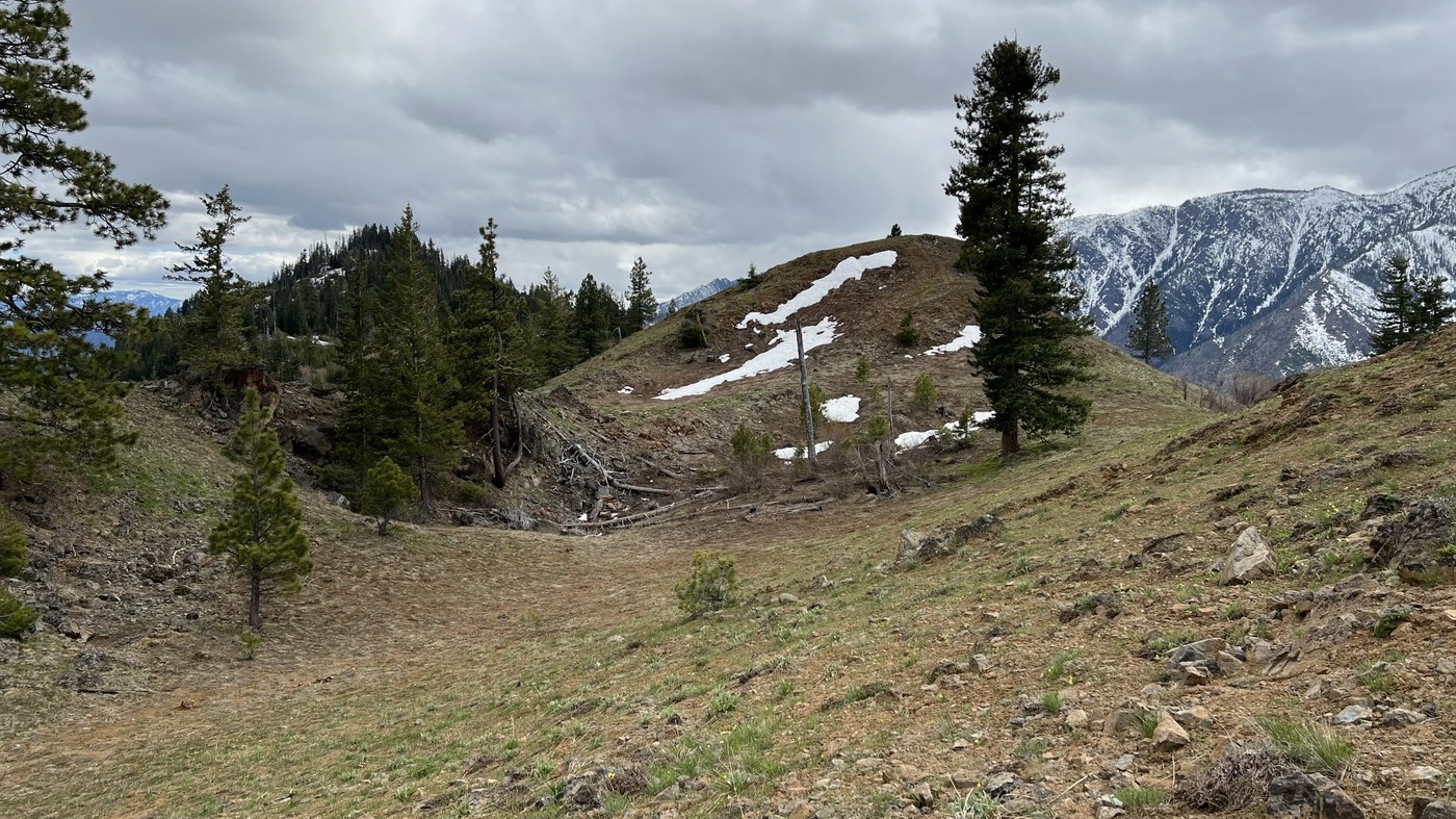 Tumwater Mountain — Washington Trails Association