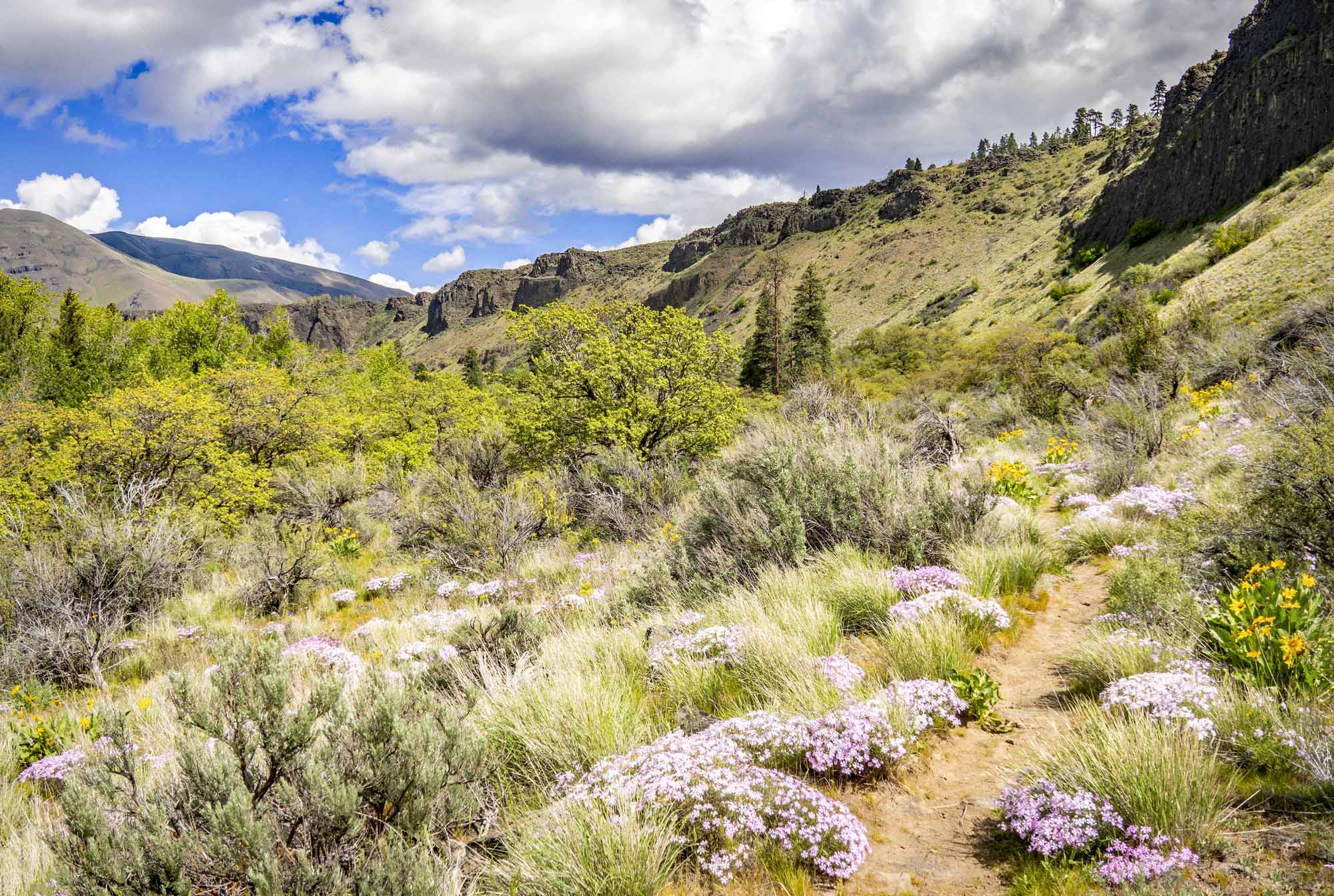 Tieton River Nature Trail — Washington Trails Association
