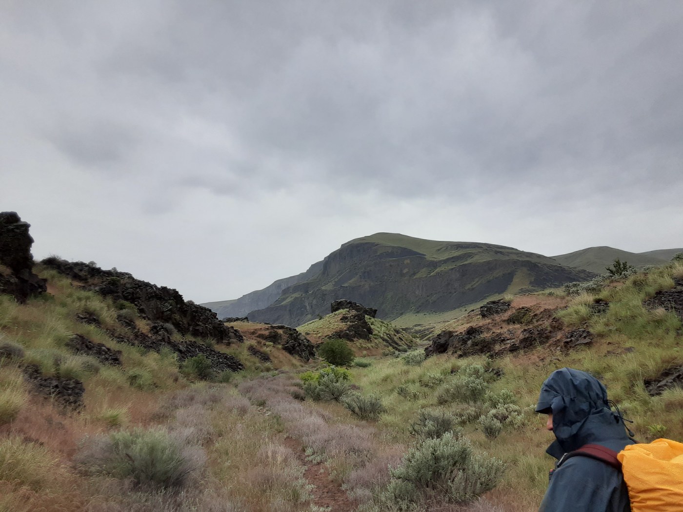 Colockum Wildlife Recreation Area — Washington Trails Association