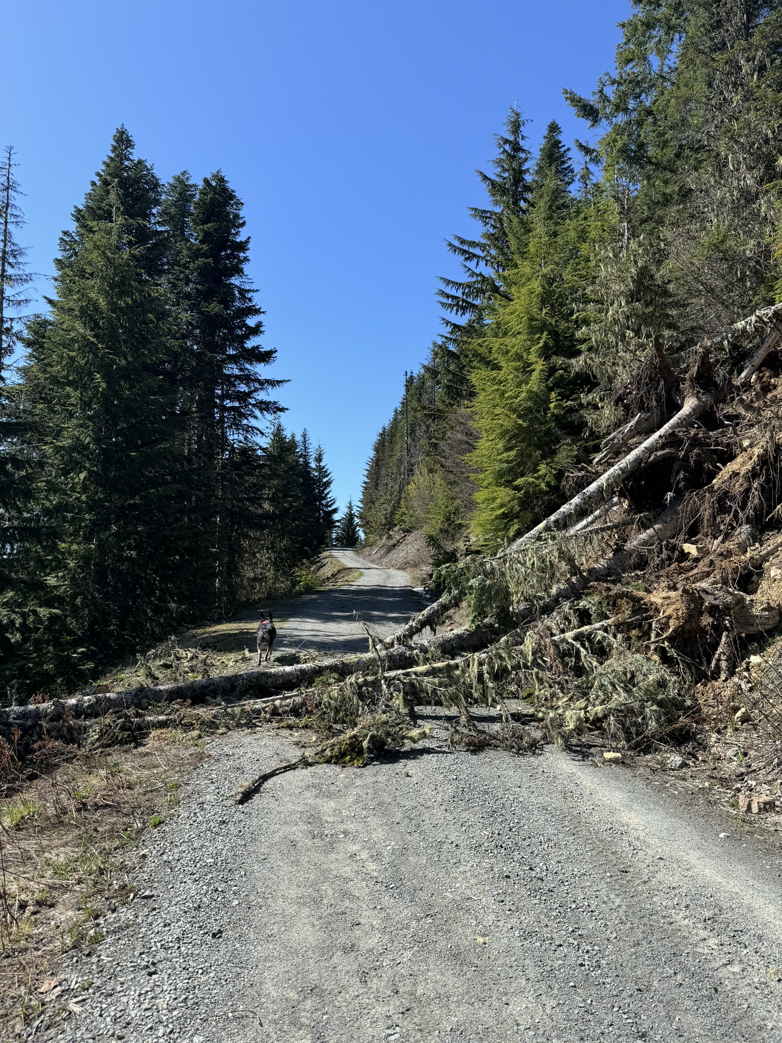 Sauk Mountain — Washington Trails Association