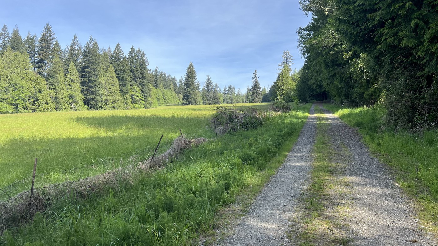 Pilchuck Tree Farm — Washington Trails Association