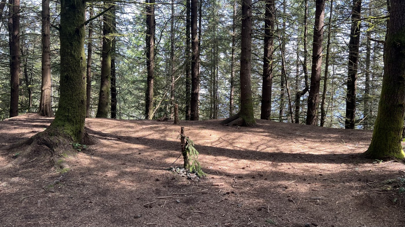 Pilchuck Tree Farm — Washington Trails Association