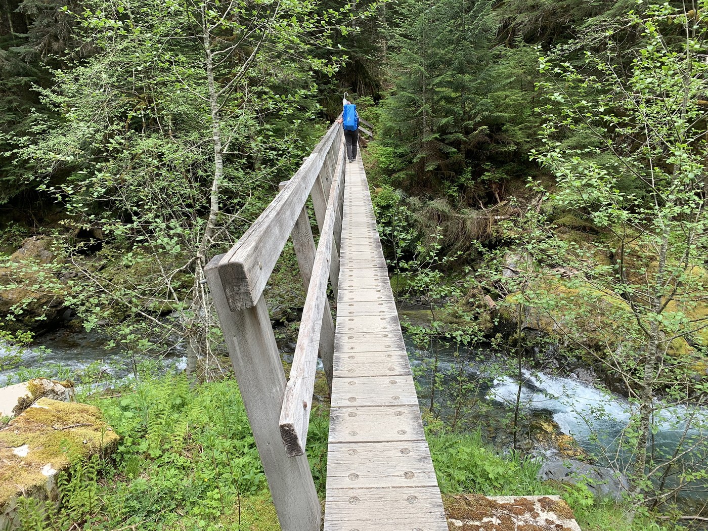 Enchanted Valley via East Fork Quinault River — Washington Trails ...