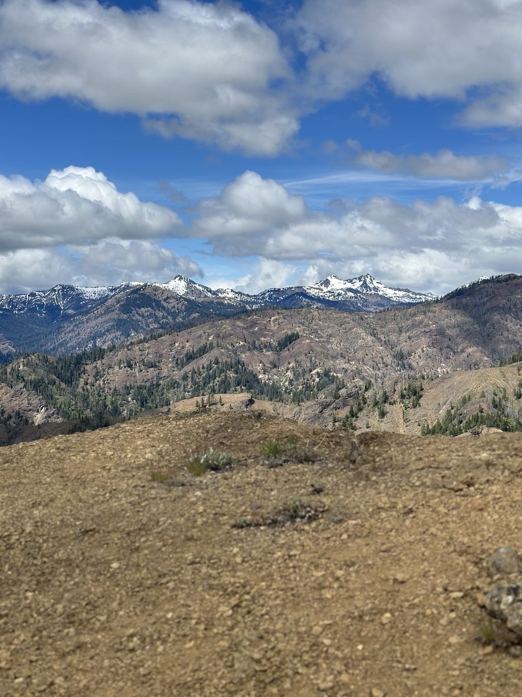Teanaway Butte — Washington Trails Association