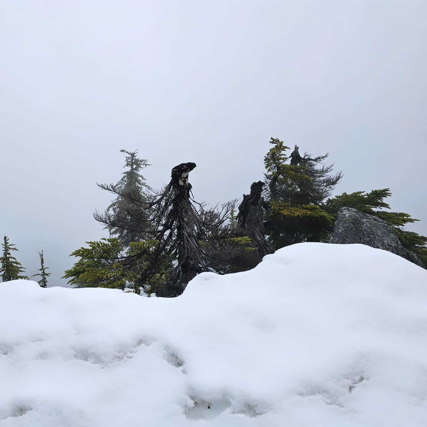 Beckler Peak — Washington Trails Association