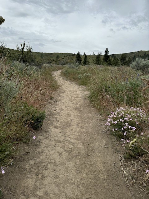 Manastash Ridge - Westberg Trail — Washington Trails Association
