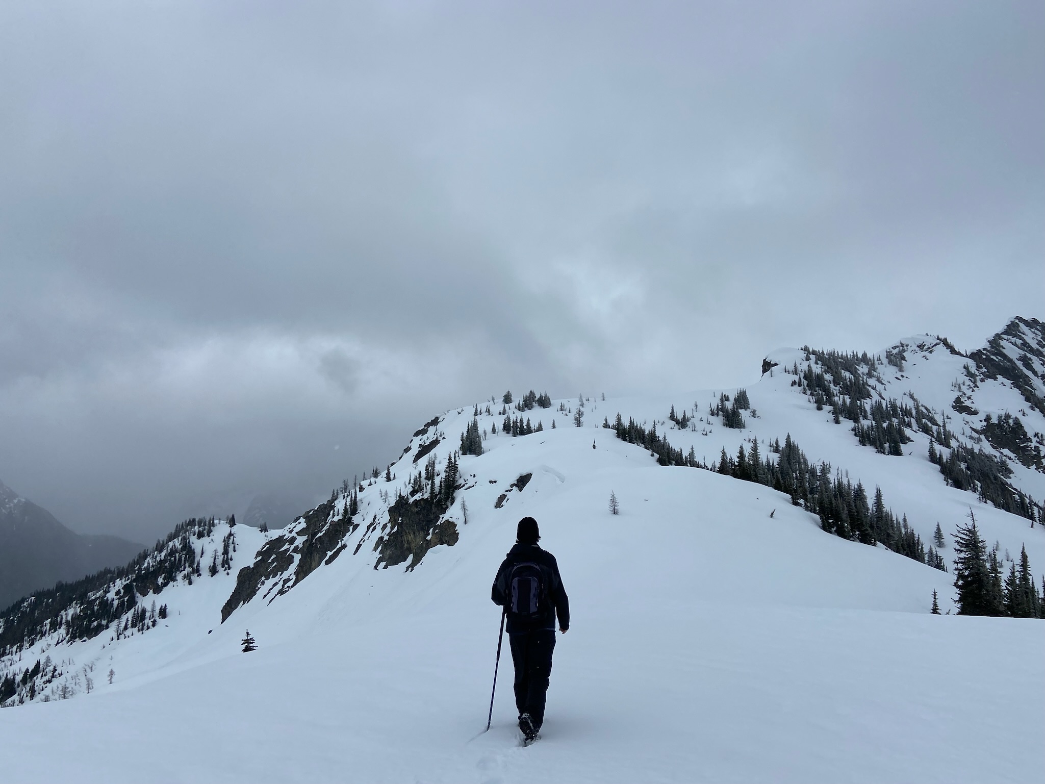 Heather - Maple Pass Loop — Washington Trails Association