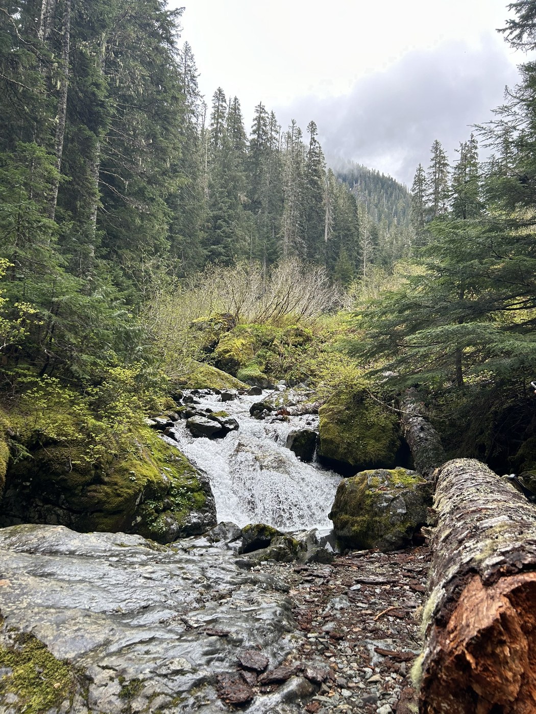Perry Creek — Washington Trails Association