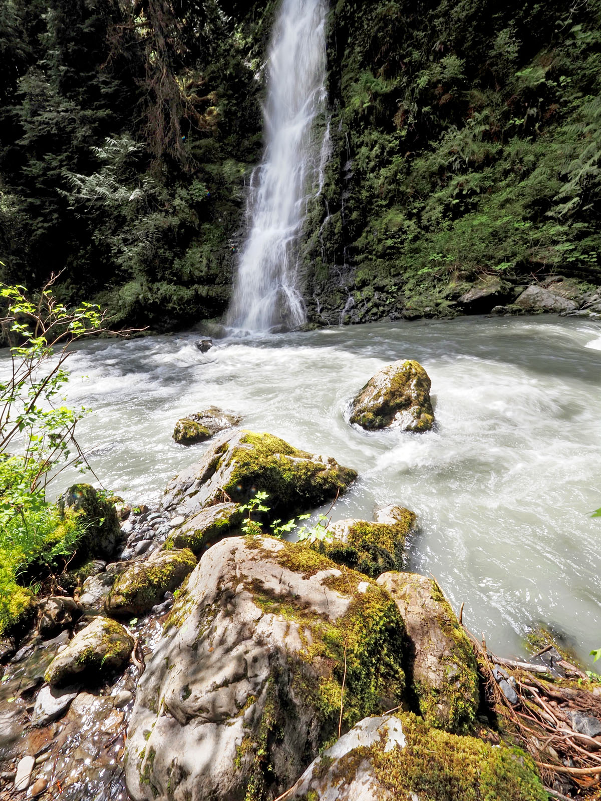 Boulder River — Washington Trails Association