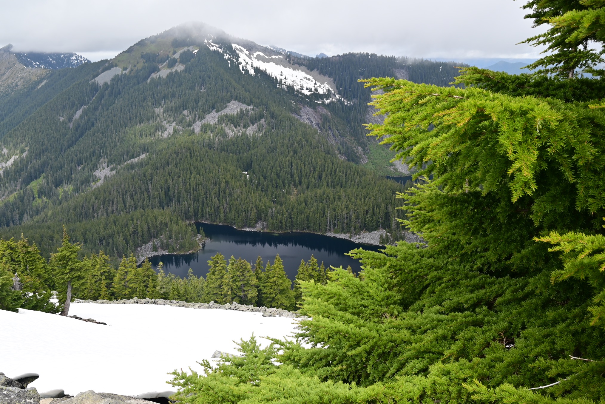 Bandera Mountain, Ira Spring Trail - Mason Lake — Washington Trails ...