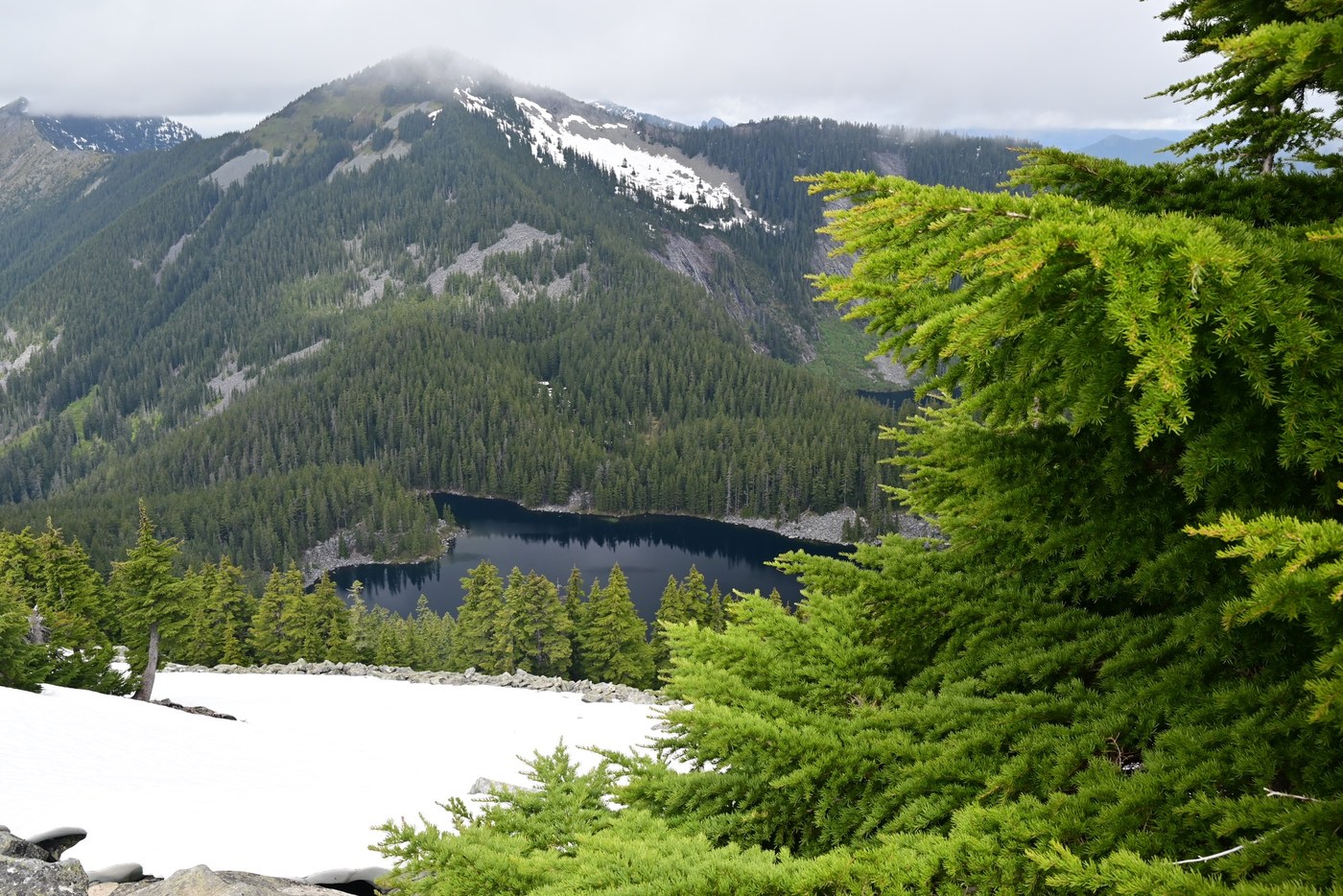 Bandera Mountain, Ira Spring Trail - Mason Lake — Washington Trails ...