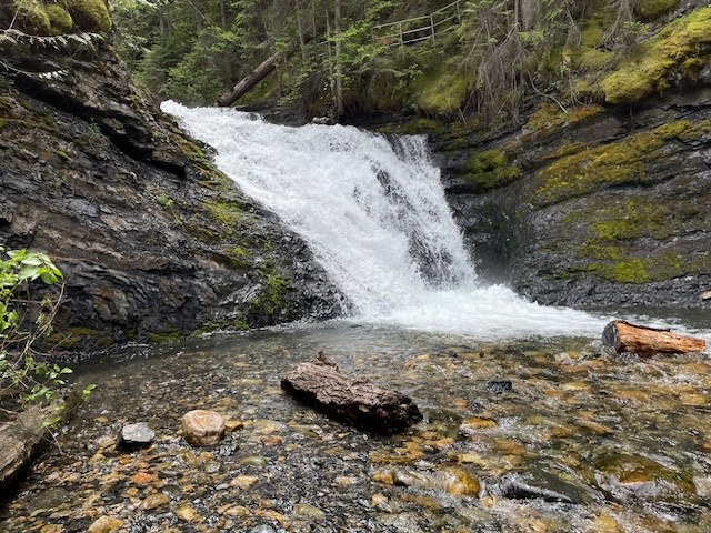 Sweet Creek Falls Interpretive Trail — Washington Trails Association