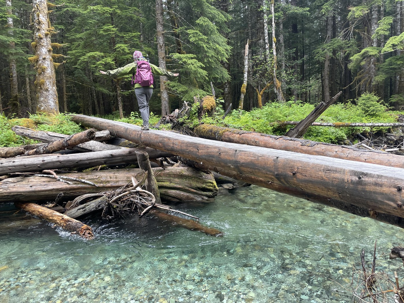 Nooksack Cirque — Washington Trails Association