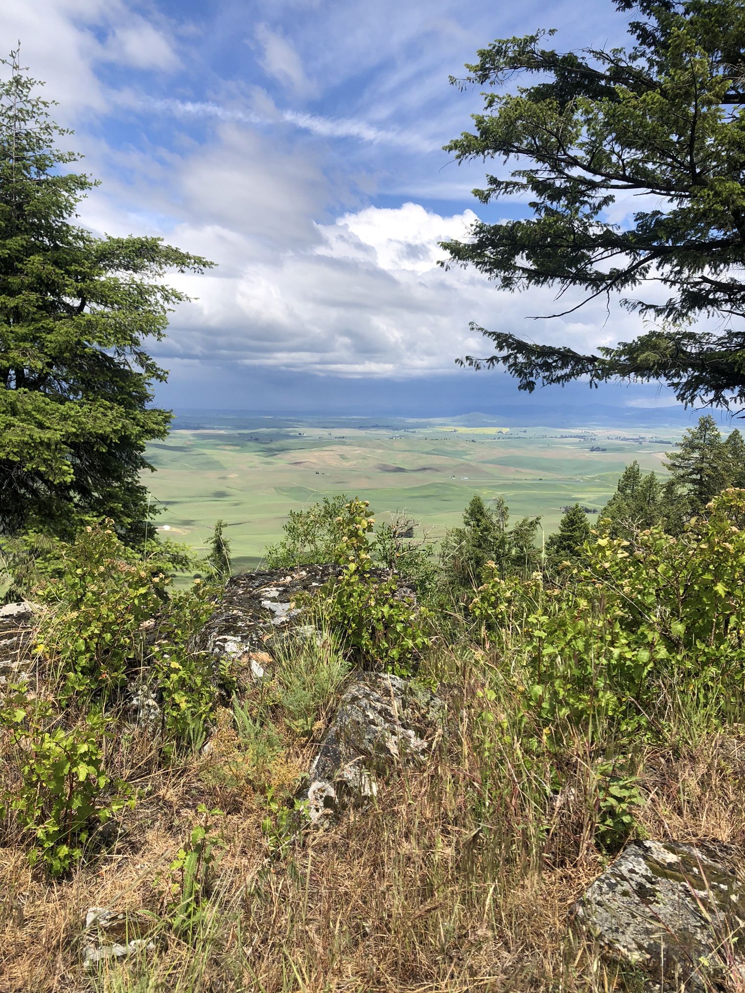 Kamiak Butte — Washington Trails Association