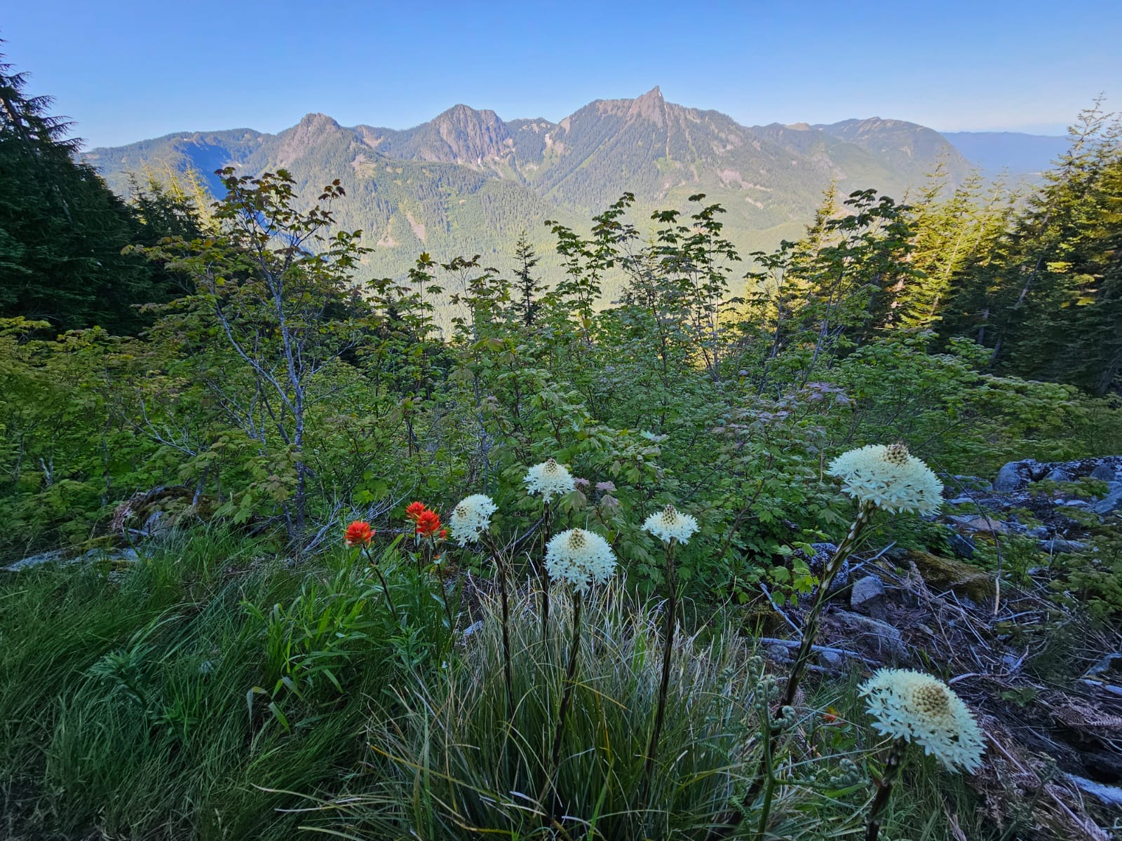 Bandera Mountain — Washington Trails Association