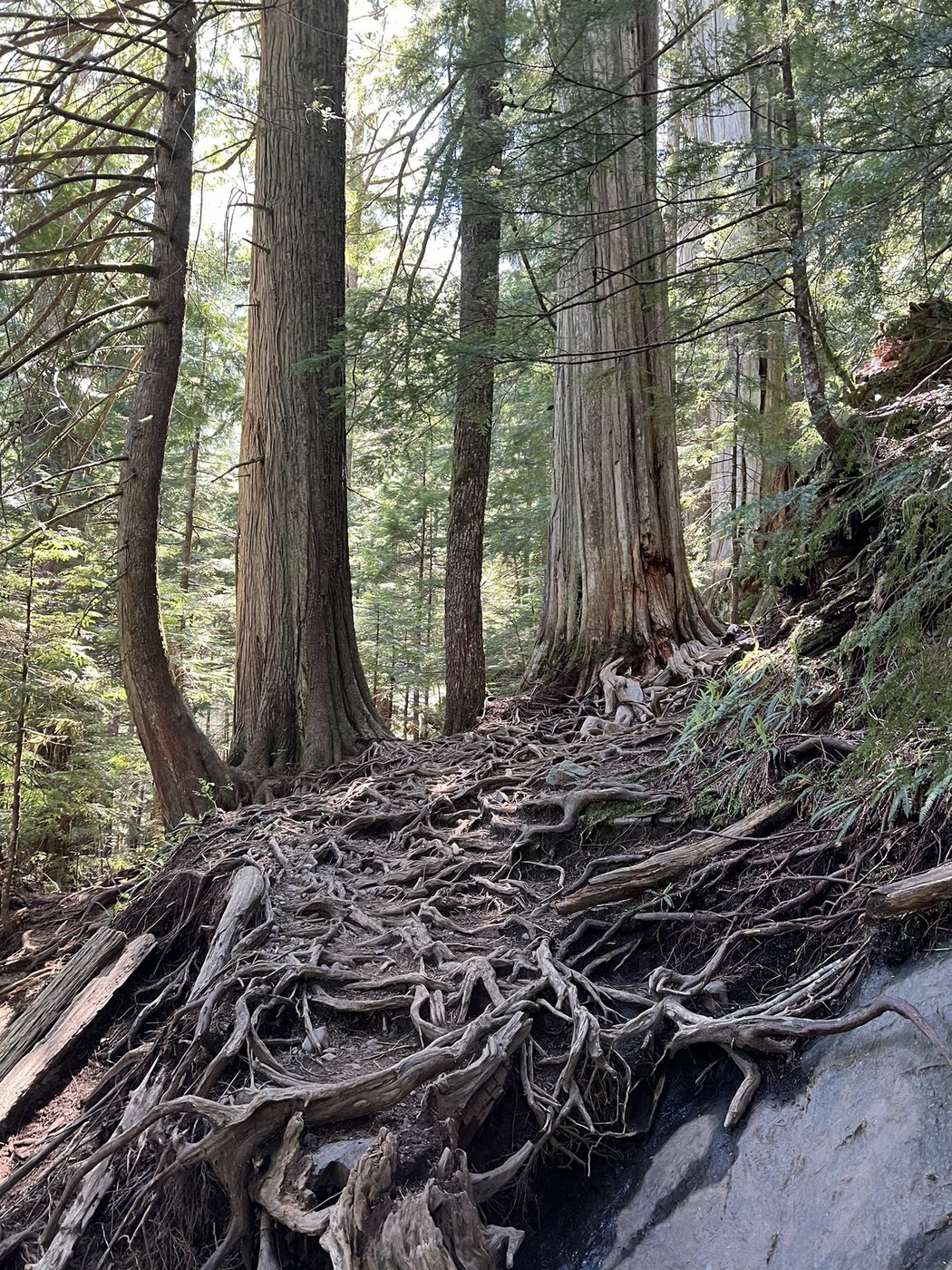 Heather Lake — Washington Trails Association