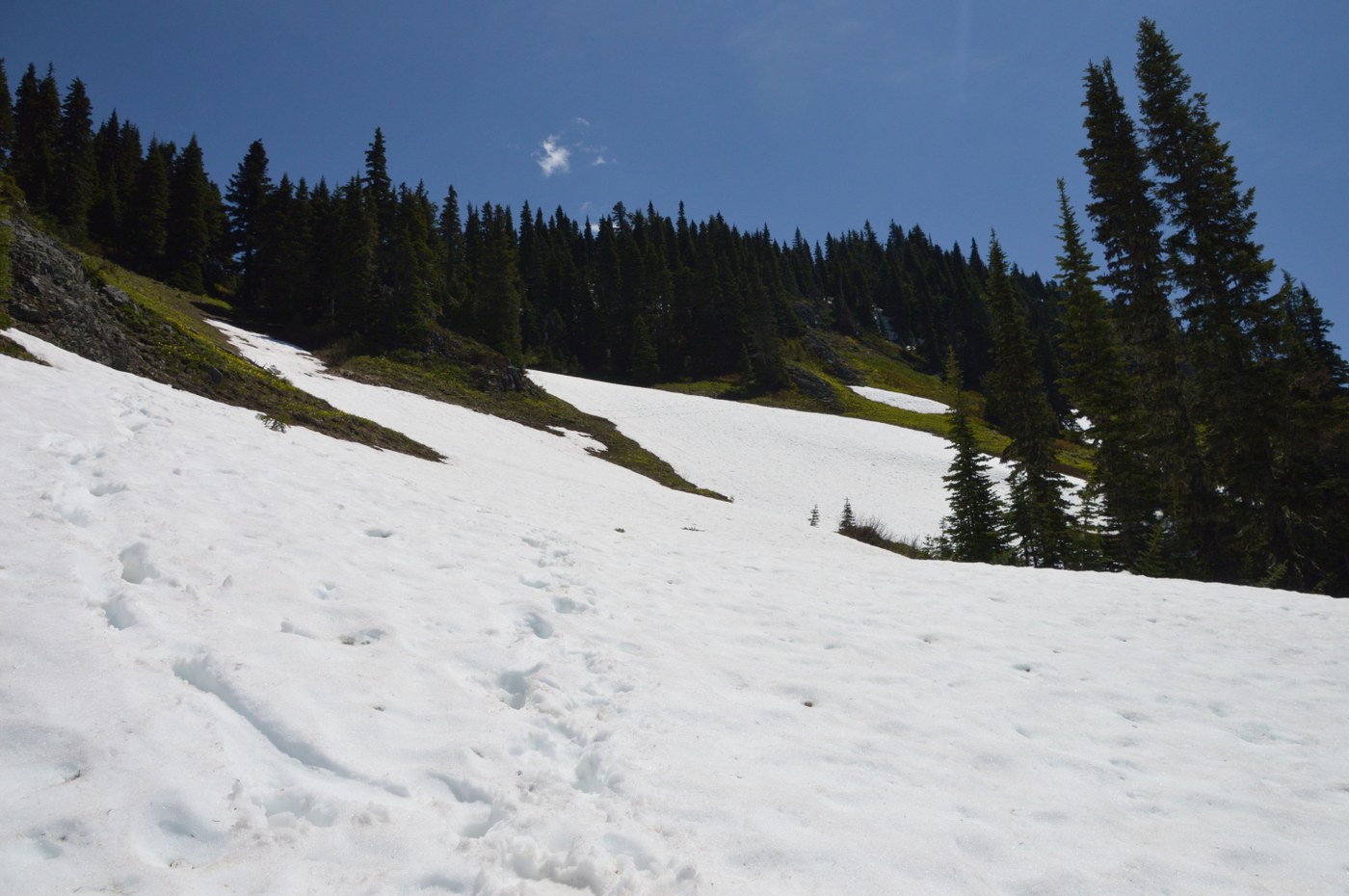 Tatoosh Ridge — Washington Trails Association