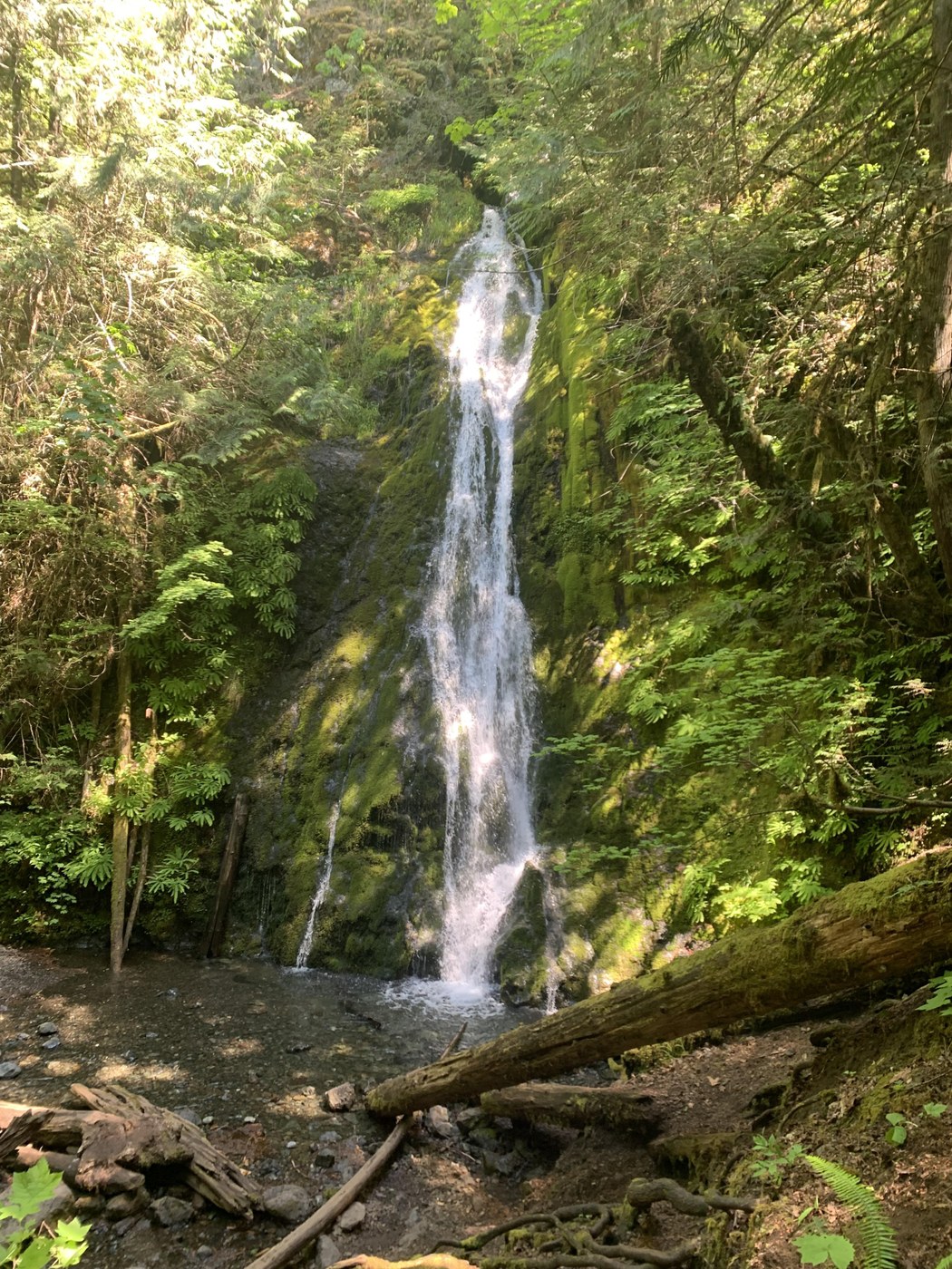 Sol Duc Falls, Madison Falls, Marymere Falls — Washington Trails ...