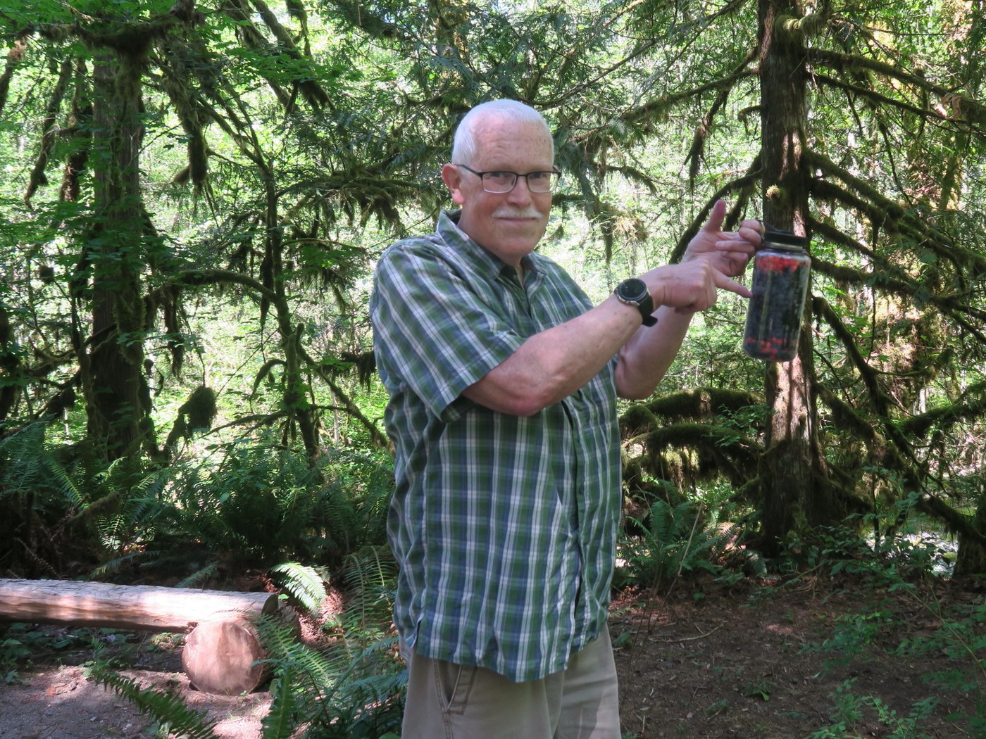 Old Sauk River Trail — Washington Trails Association