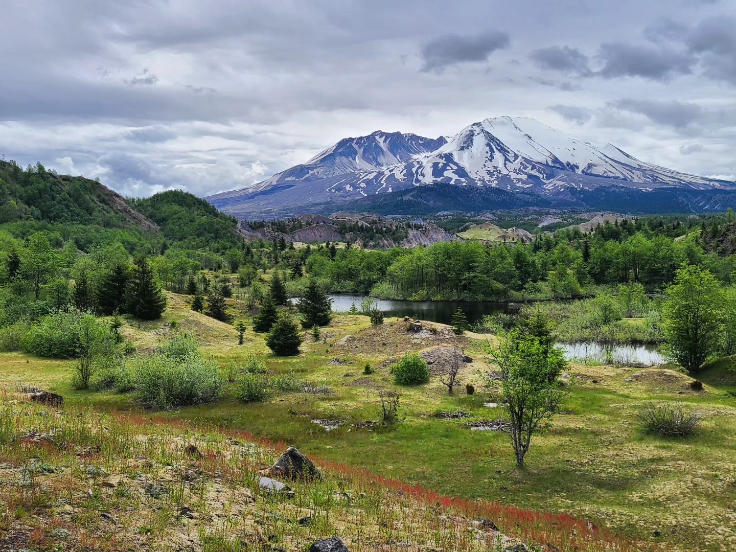 Hummocks Trail, Hummocks Loop — Washington Trails Association