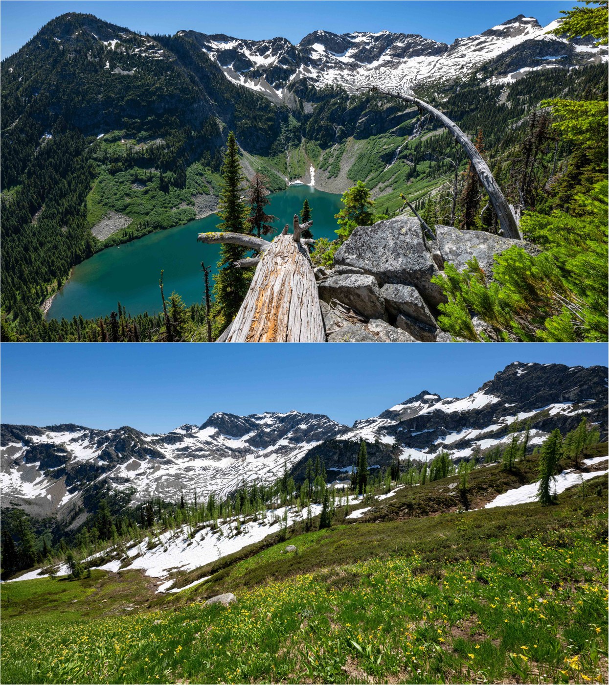 Heather - Maple Pass Loop — Washington Trails Association