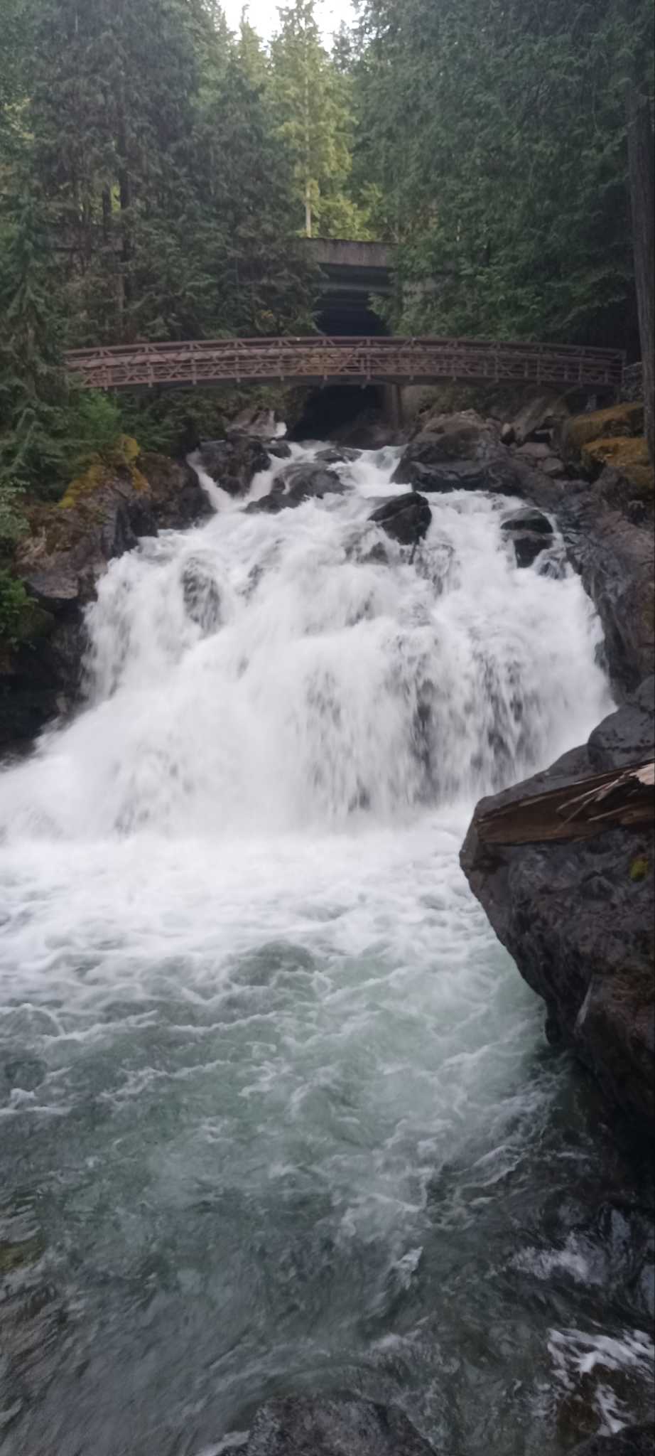 Deception Falls National Recreation Area — Washington Trails Association