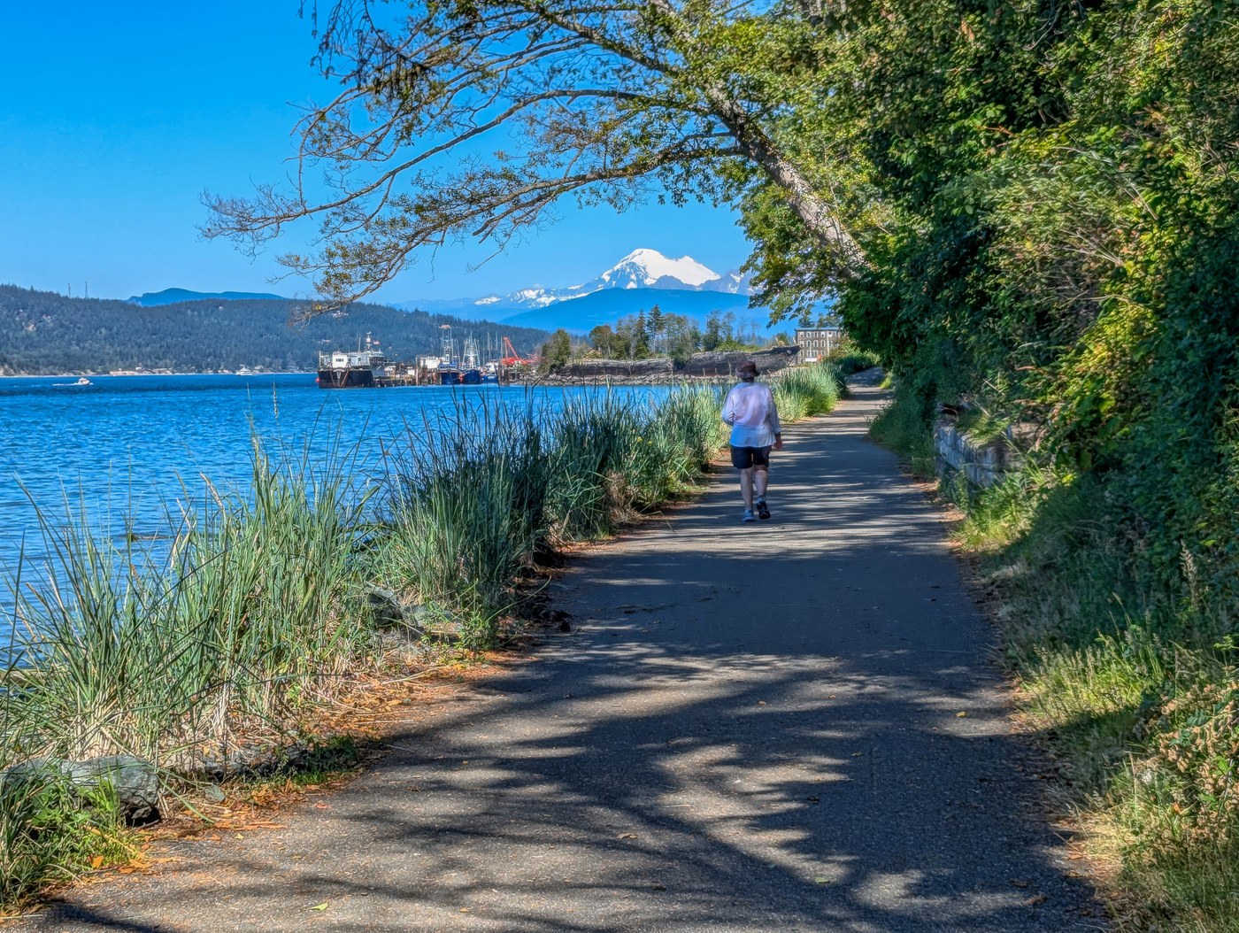 Guemes Channel and Ship Harbor — Washington Trails Association
