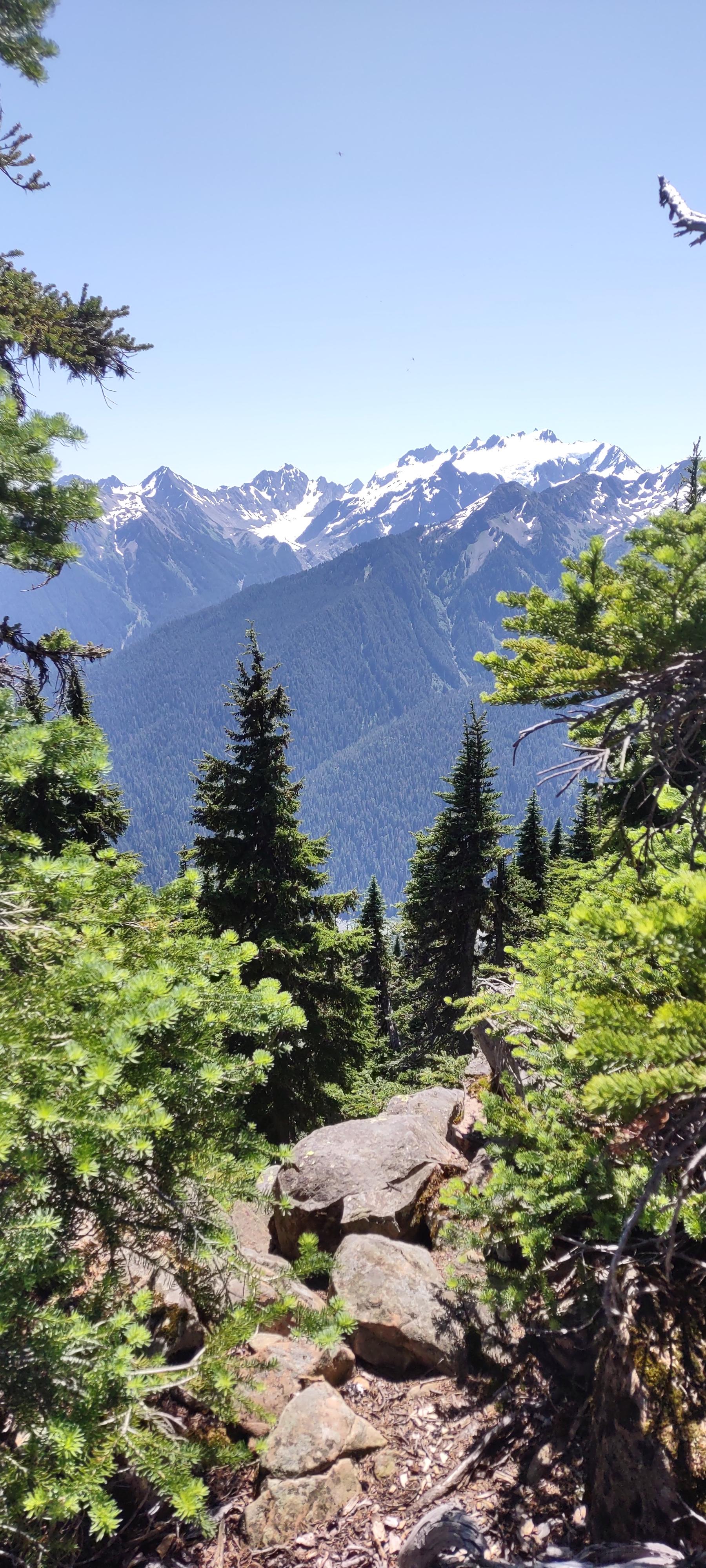 High Divide - Seven Lakes Basin Loop — Washington Trails Association