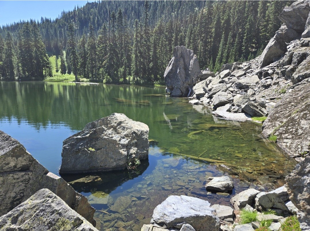 Thorp Lake, Thorp Mountain Lookout via Thorp Creek — Washington Trails ...