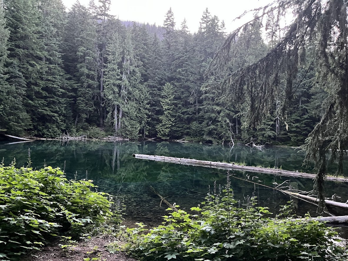 Greenwater Trail to Lost Lakes — Washington Trails Association