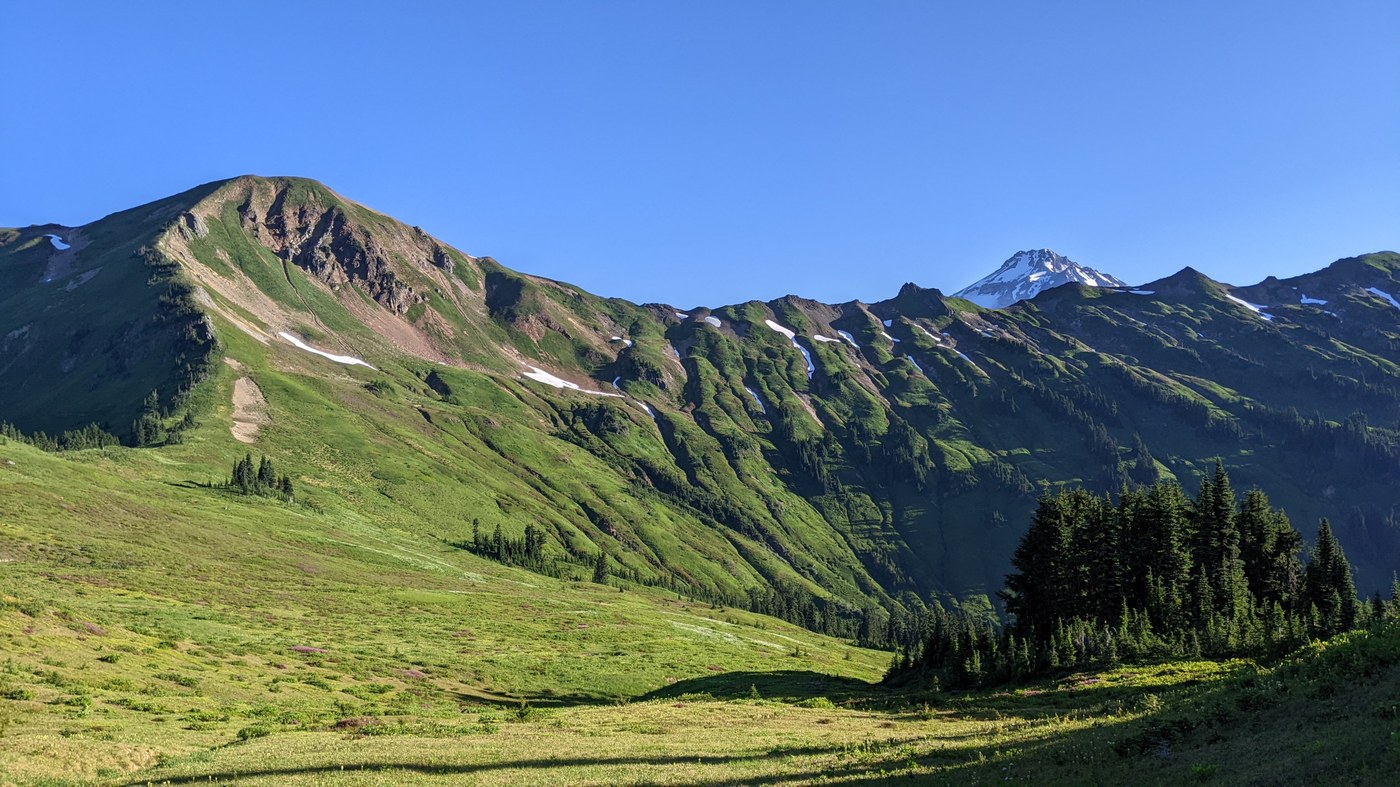 White Pass - Pilot Ridge Loop — Washington Trails Association