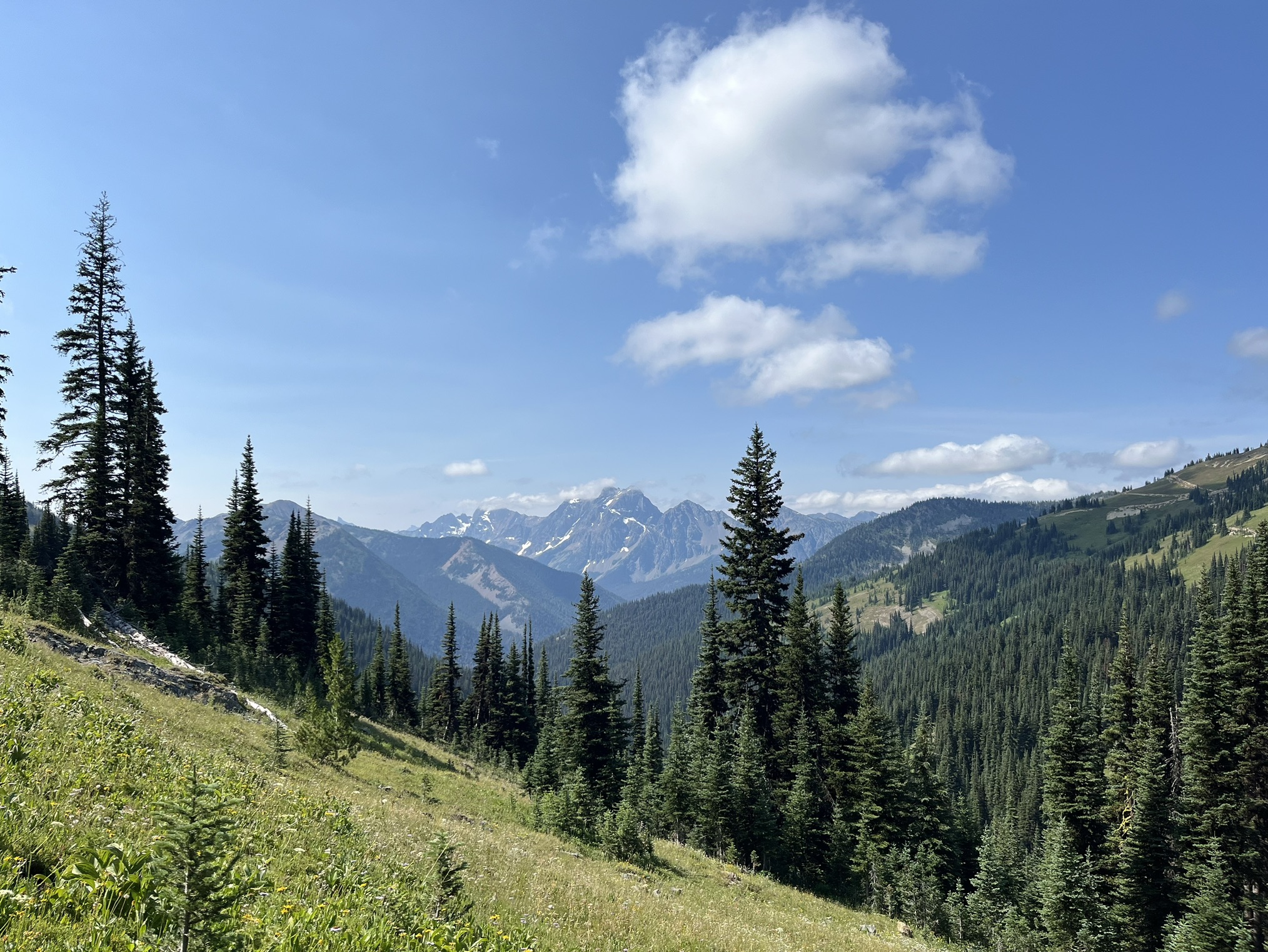 Windy Pass — Washington Trails Association