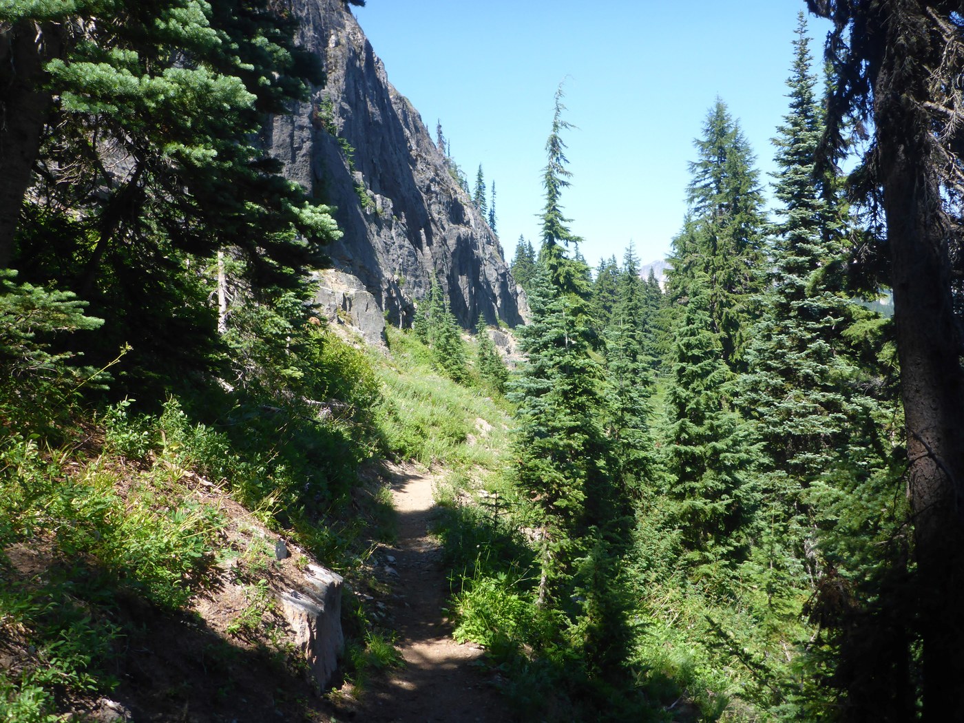 Walupt Lake Loop, Nannie Ridge-Sheep Lake — Washington Trails Association