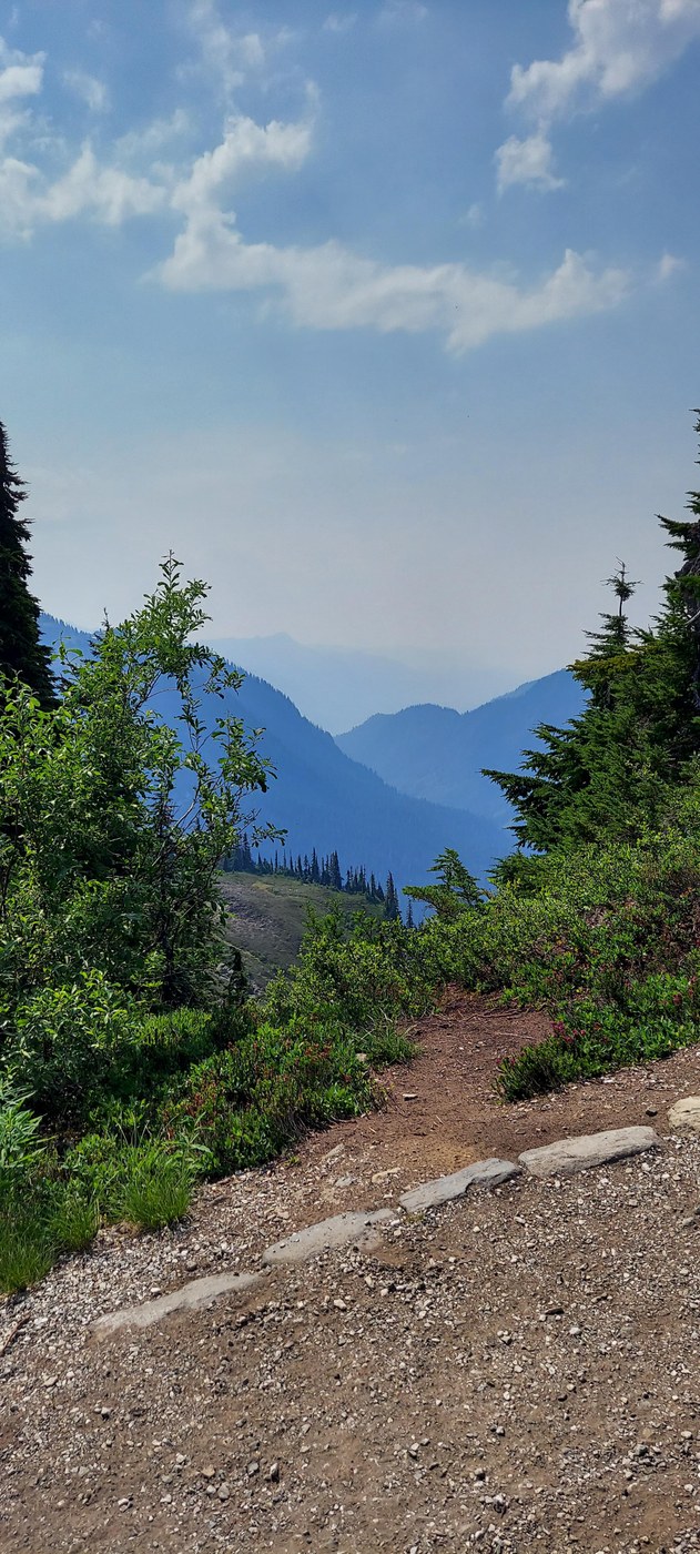 Artist Ridge - Huntoon Point — Washington Trails Association