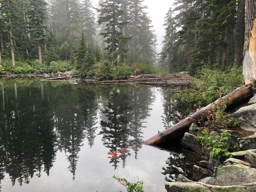 Ira Spring Trail - Mason Lake — Washington Trails Association