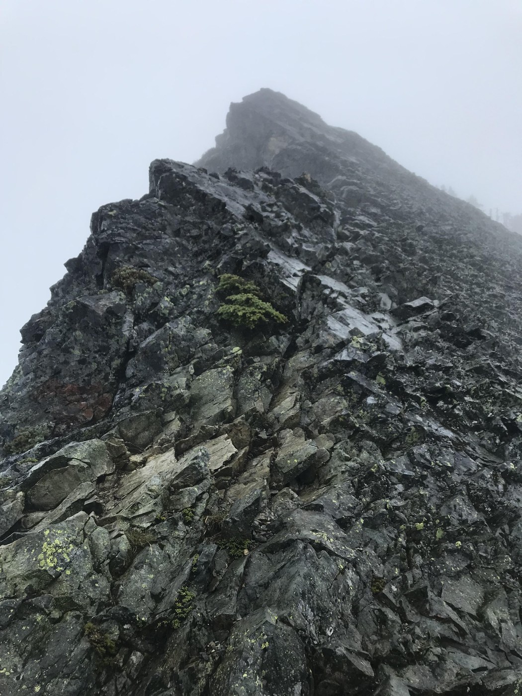 McClellan Butte — Washington Trails Association