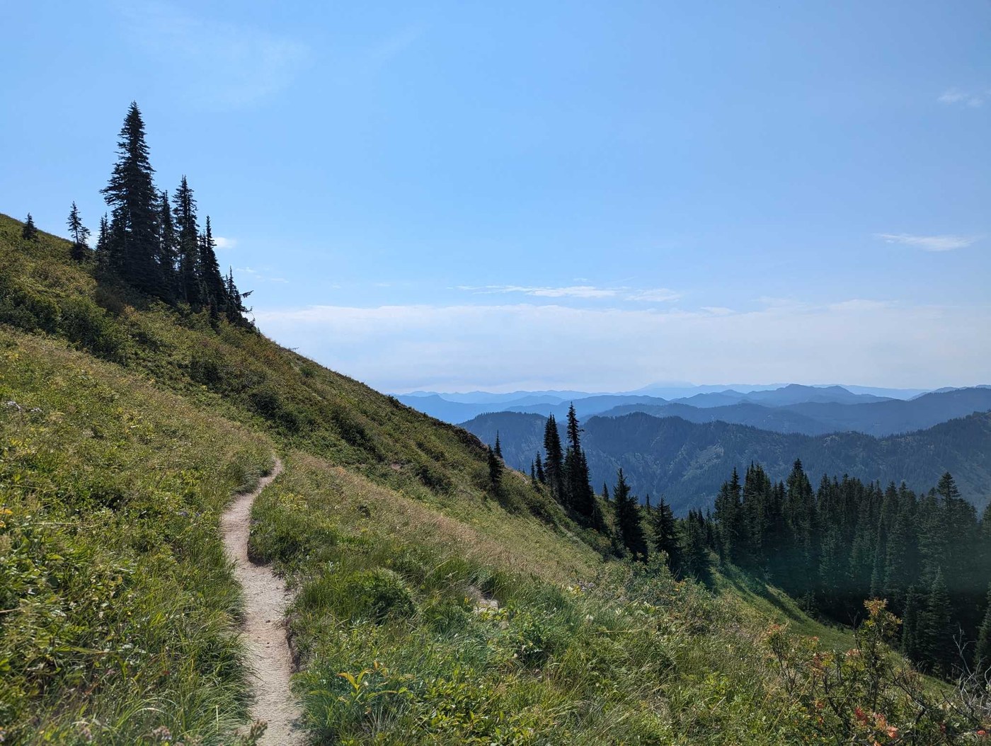 Tatoosh Ridge — Washington Trails Association