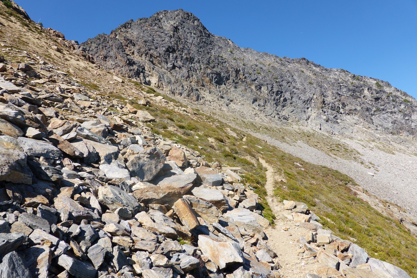 Mount David — Washington Trails Association