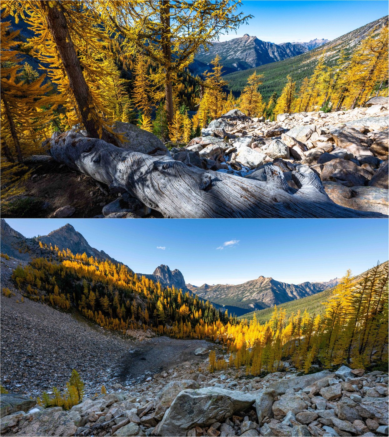 Kangaroo Pass — Washington Trails Association