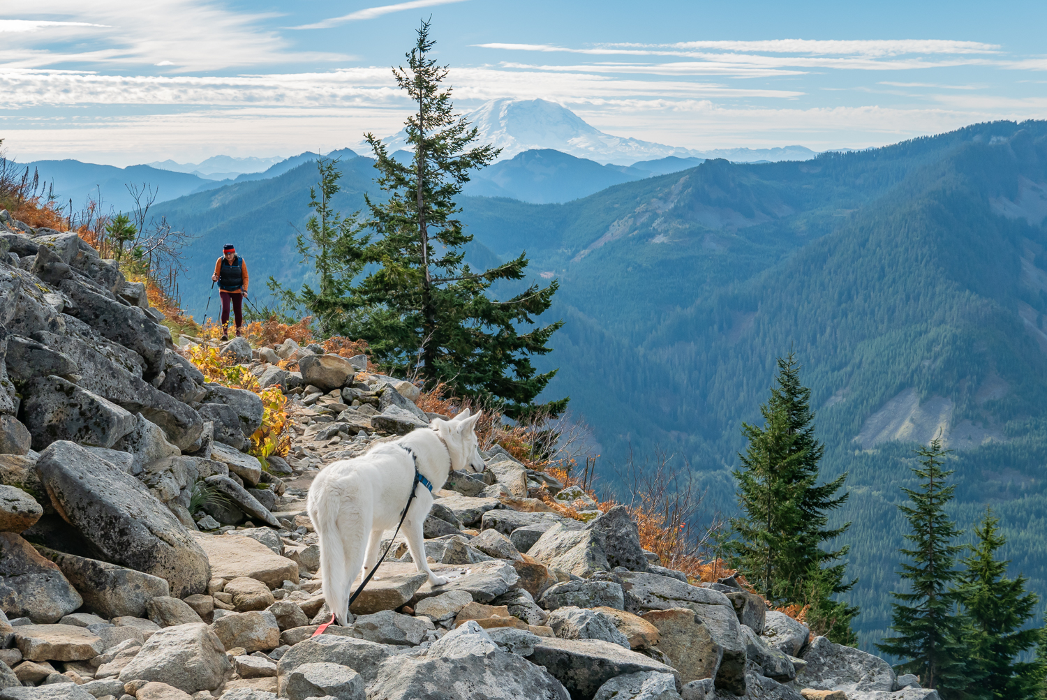 Ira Spring Trail - Mason Lake — Washington Trails Association