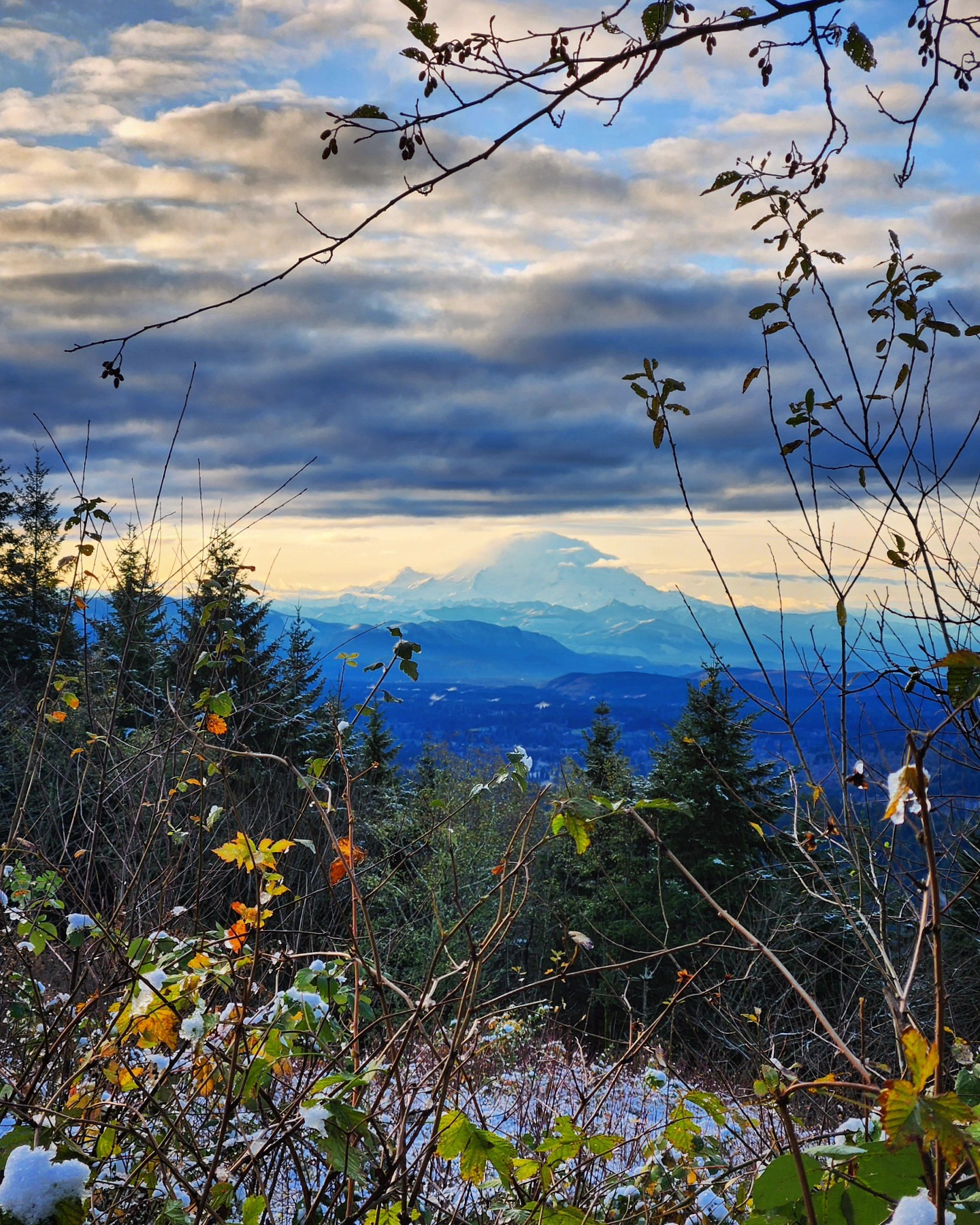 Poo Poo Point - Chirico Trail — Washington Trails Association