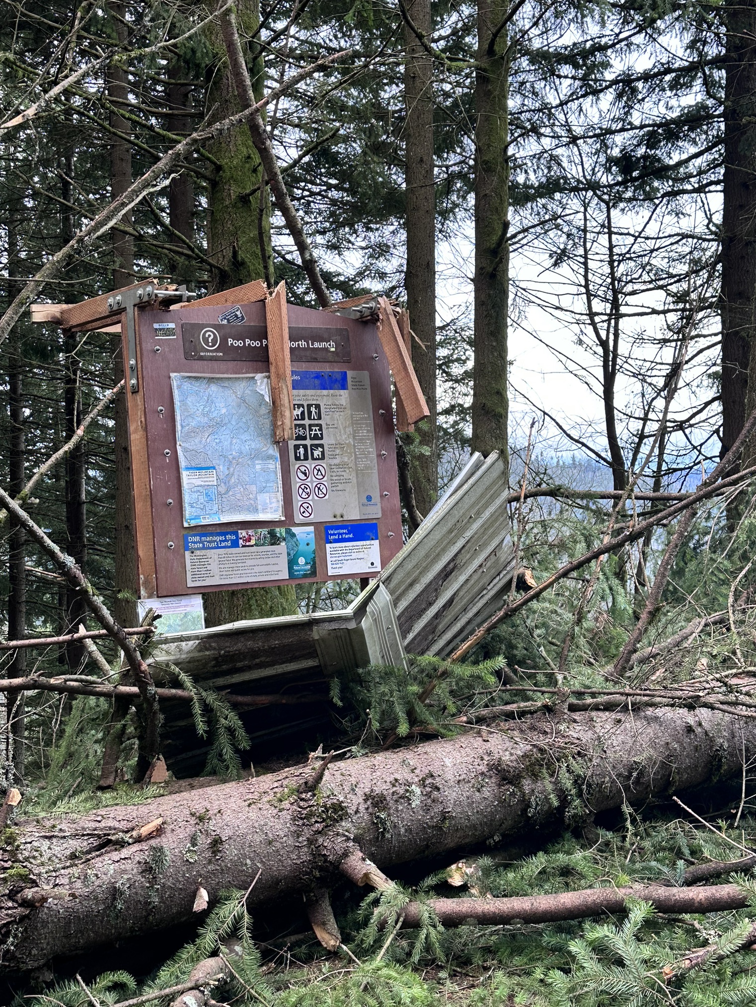 Poo Poo Point - Chirico Trail — Washington Trails Association