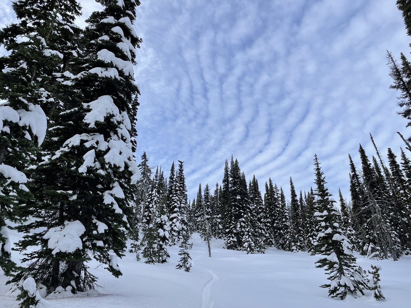 Judi's Peak, Bean Creek Basin — Washington Trails Association