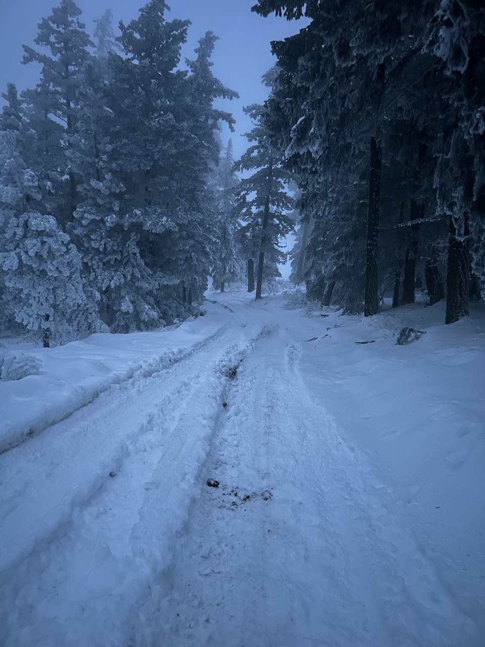 Manastash Ridge - Boy Scout Trail, Manastash Ridge - Westberg Trail ...