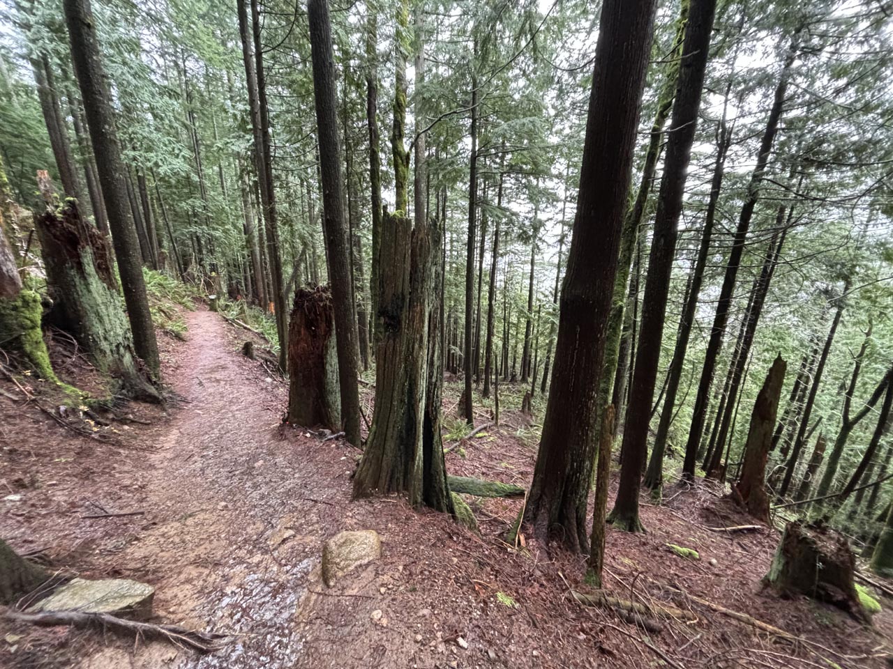 Heybrook Ridge — Washington Trails Association