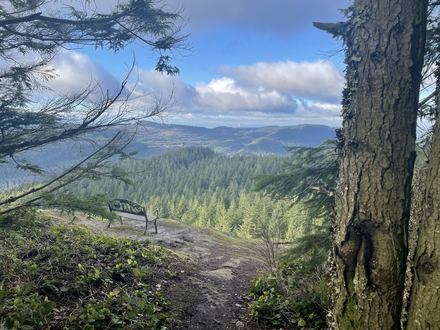 Lily and Lizard Lake Loop — Washington Trails Association