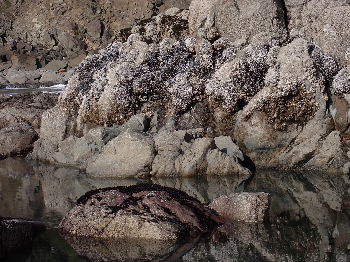 Second Beach — Washington Trails Association