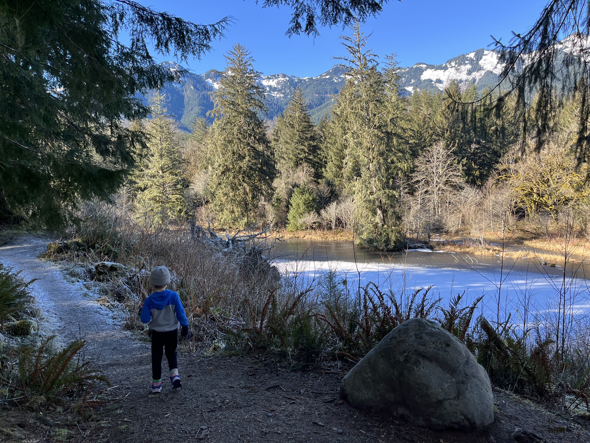 Oxbow Loop Trail — Washington Trails Association